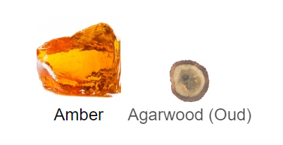 OUD & AMBRE | Frag+Bar