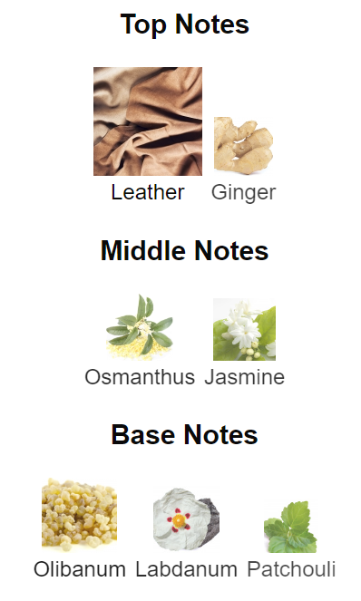 STALLION LEATHER | Frag+Bar