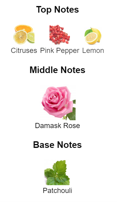 PARIS – PARIS | Frag+Bar